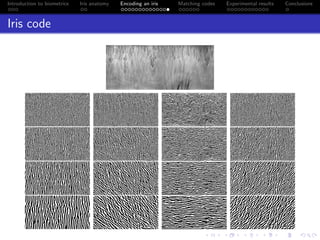 Human Iris Biometry | PDF