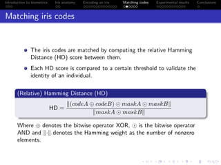 Human Iris Biometry | PDF