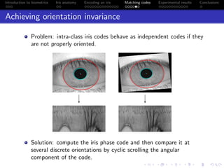 Human Iris Biometry | PDF
