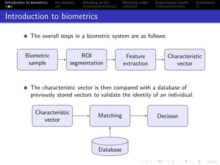 Human Iris Biometry | PDF