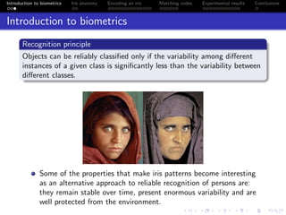 Human Iris Biometry | PDF