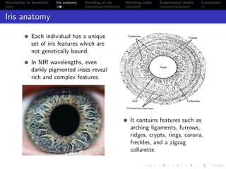 Human Iris Biometry | PDF
