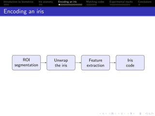 Human Iris Biometry | PDF