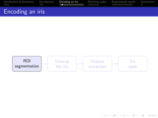 Human Iris Biometry | PDF