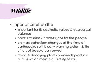 Class 8 ppt_chapter_3_natural_resources_vegetation_and_wildlife | PPTX