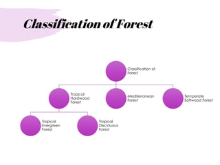 Class 8 ppt_chapter_3_natural_resources_vegetation_and_wildlife | PPTX