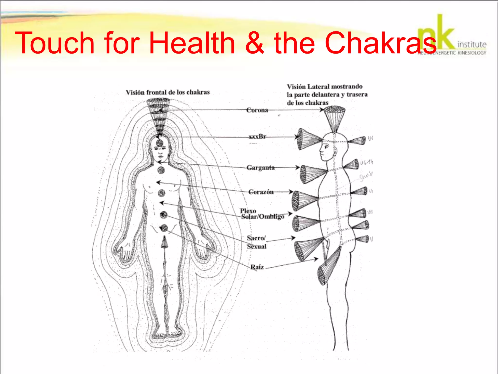 Touch for Health & the Chakras | PPT