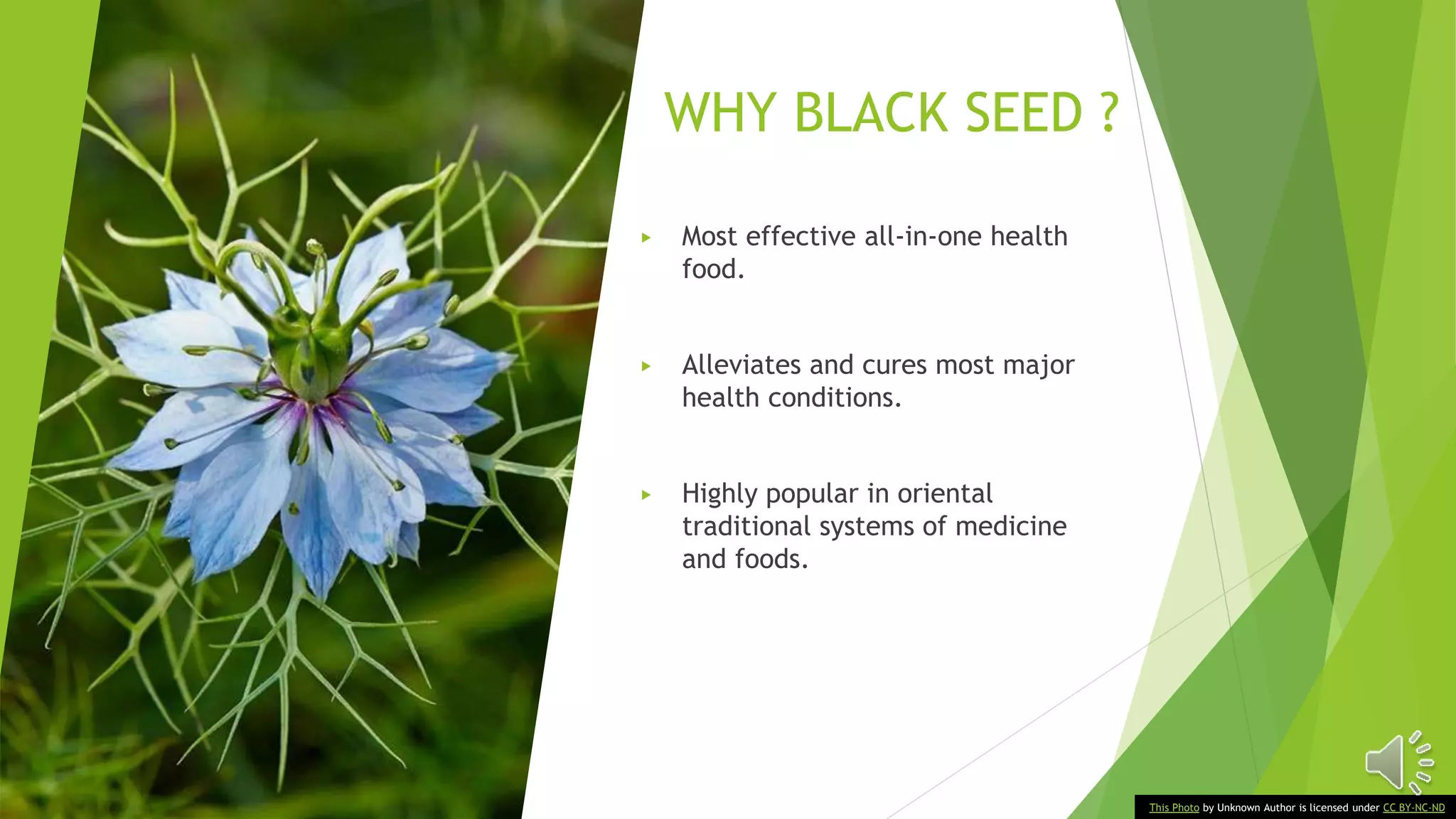 Black cumin seed | PPTX