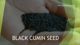 Black cumin seed | PPTX