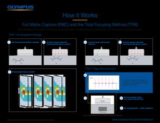 TFM Infographic información técnica de TF; | PPT