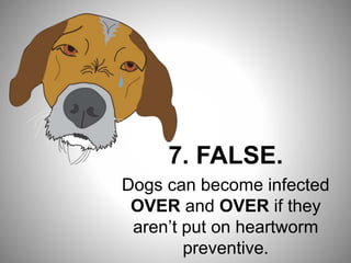 True or False? Test Your Heartworm Knowledge | PPT