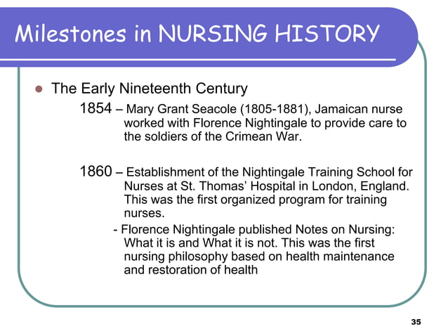 Theoretical Foundation of Nursing NCM 100 | PPTX