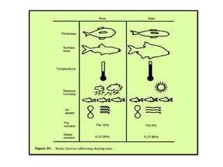 Traditional fish preservation methods | PPT | Free Download
