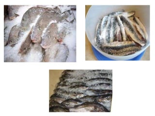 Traditional fish preservation methods | PPTX