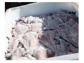 Traditional fish preservation methods | PPTX