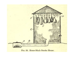 Traditional fish preservation methods | PPTX