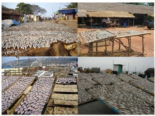 Traditional fish preservation methods | PPTX