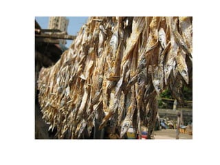 Traditional fish preservation methods | PPTX