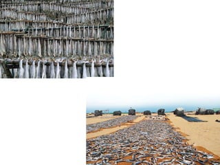 Traditional fish preservation methods | PPTX