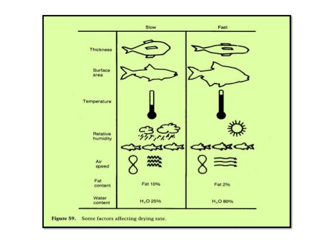 Traditional fish preservation methods