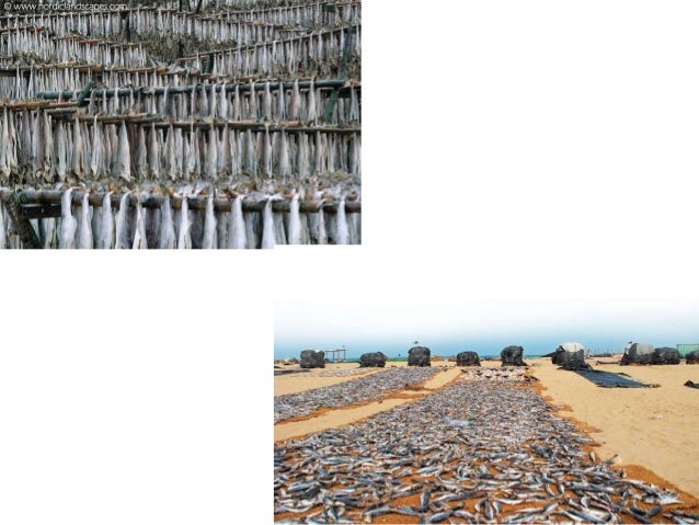 Traditional fish preservation methods