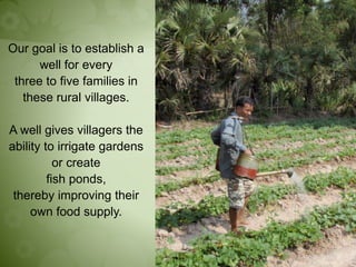 Introduction to Trailblazer Foundation | PPT