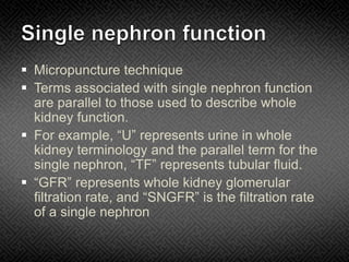 Tubular-fluid to plasma (TFP) ratio | PPTX