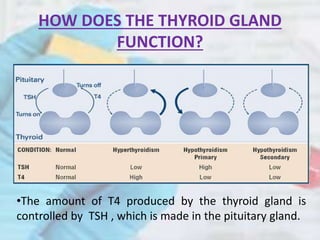 Thyroid Function Tests | PPTX