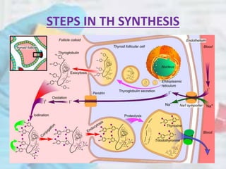 Thyroid Function Tests | PPTX