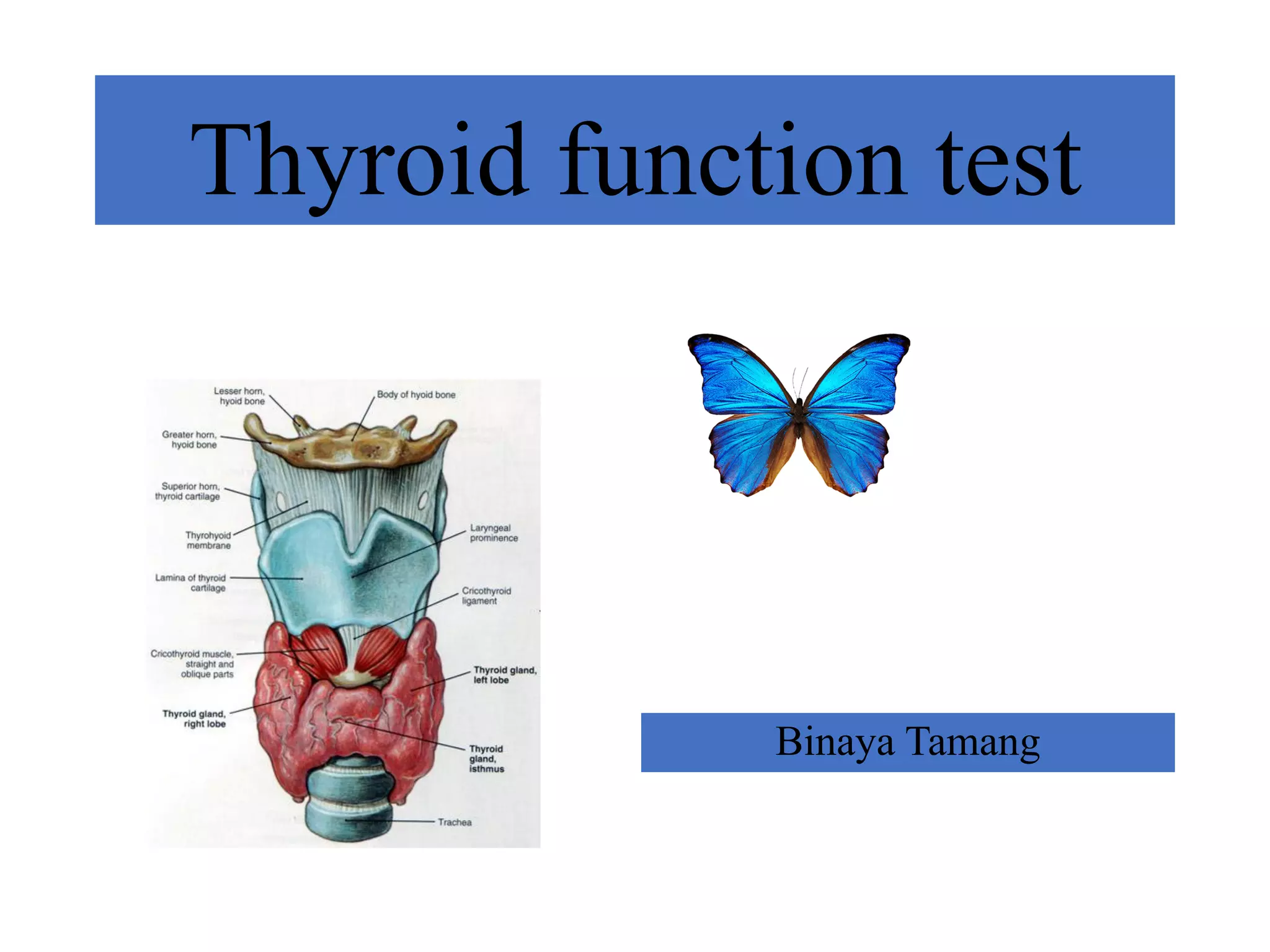 Thyroid function test ( TFT) in simple way | PDF