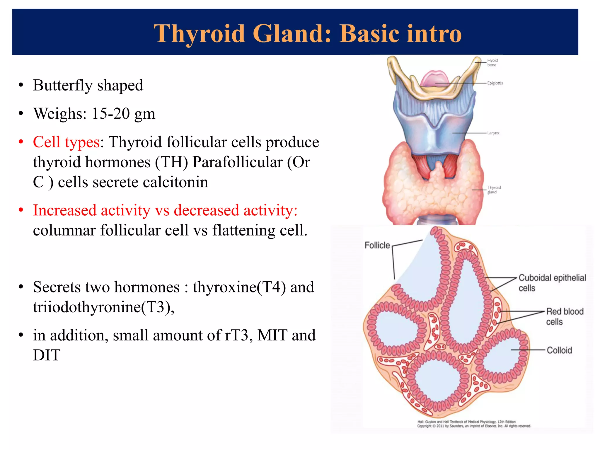 Thyroid function test ( TFT) in simple way | PDF