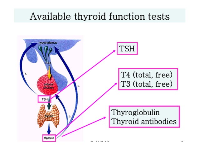 Thyroid function test ( TFT) in simple way | PPT