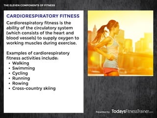 Understanding the 11 Components of Fitness | PDF