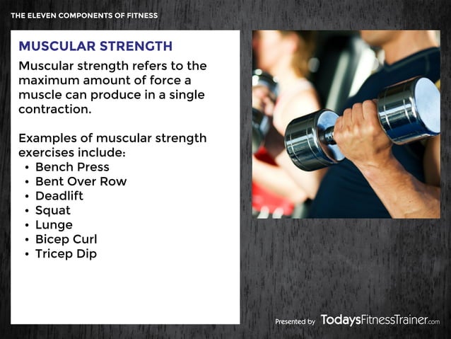 Understanding the 11 Components of Fitness | PPT