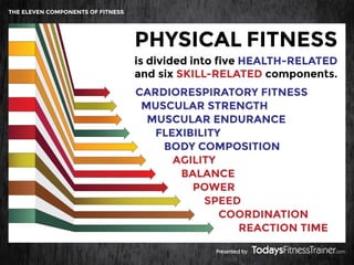 Understanding the 11 Components of Fitness | PPT
