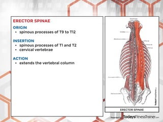 CORE Essentials | PDF