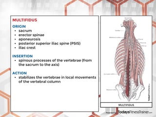 CORE Essentials | PDF
