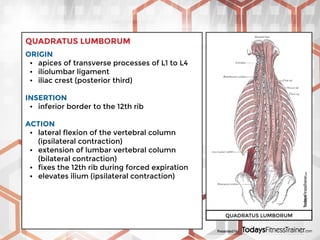 CORE Essentials | PDF