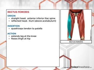CORE Essentials | PDF