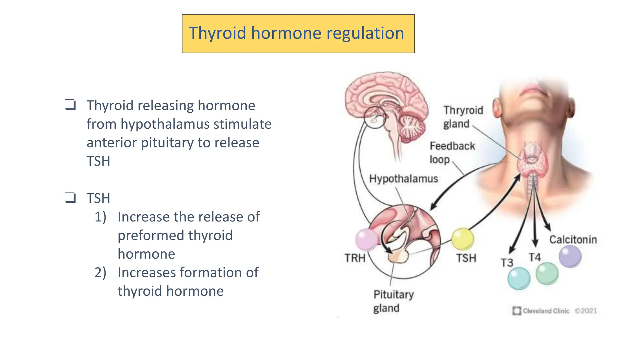 TFT interpretation- TSH, T4, T3, TPO Antibodies.pptx