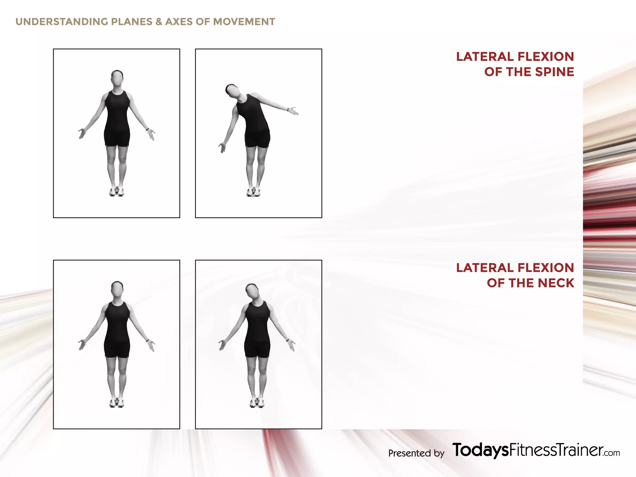 Understanding Planes & Axes of Movement | PDF