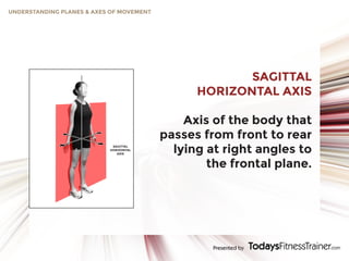 Understanding Planes & Axes of Movement | PDF