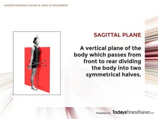 Understanding Planes & Axes of Movement | PDF