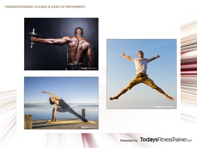 Understanding Planes & Axes of Movement | PPT
