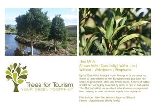 Reforestation tree species Trees for Tourism | PPT