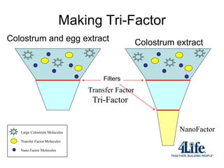 Tf tri factor | PPT
