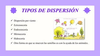 Dispersión y Germinación - Noemí Ochog | PDF