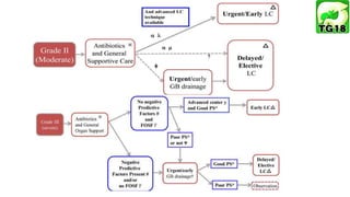 TOKYO GUIDELINES: MANGEMENT OF ACUTE CHOLECYSTITIS AND ACUTE ...