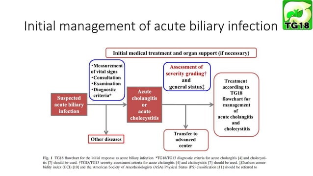 TOKYO GUIDELINES: MANGEMENT OF ACUTE CHOLECYSTITIS AND ACUTE ...