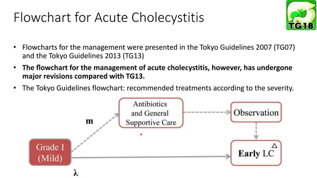 TOKYO GUIDELINES: MANGEMENT OF ACUTE CHOLECYSTITIS AND ACUTE ...